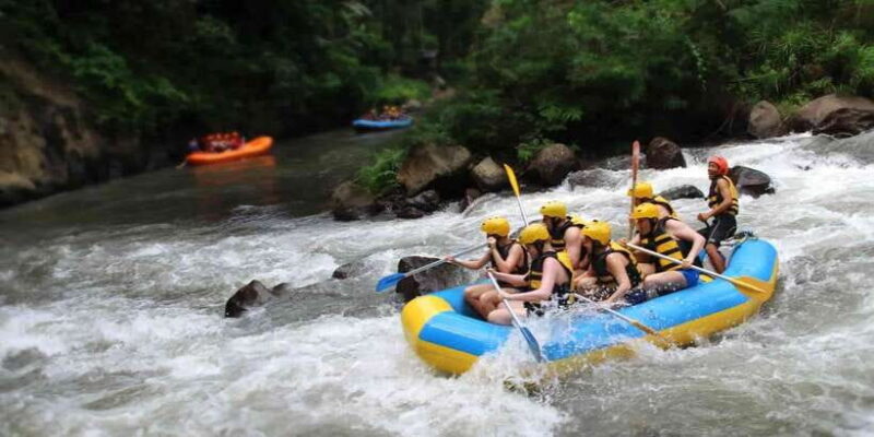 Bali: Ayung River Rafting and Swing Adventure with Lunch - The Bali Swing Experience: More Than Just a Photo Op