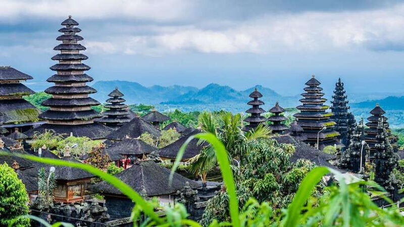 Bali: Besakih Great Temple & Penglipuran Village Day Tour - What’s Included and What’s Not