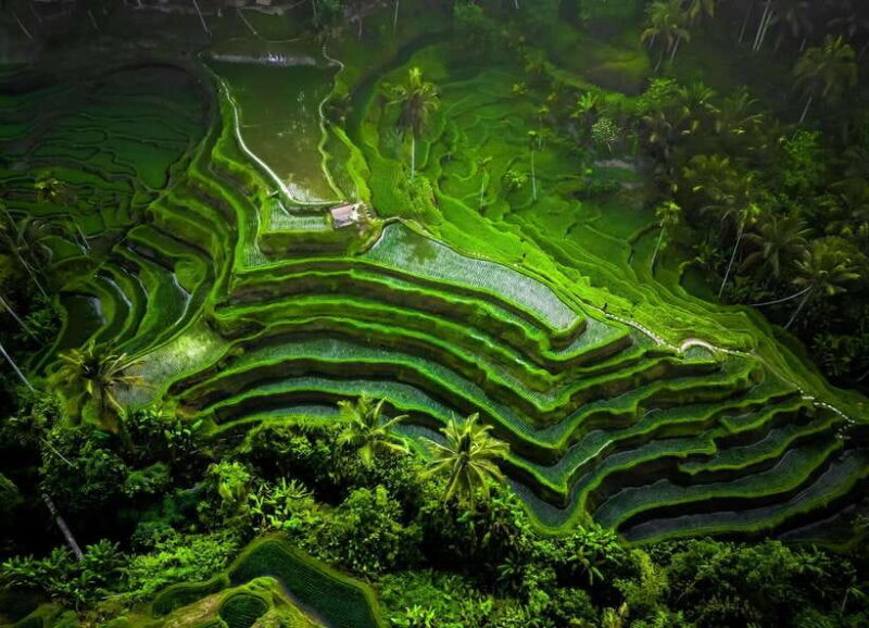 Bali: Besakih Great Temple Tour with Waterfal & Rice Terrace - An Honest Look at the Value