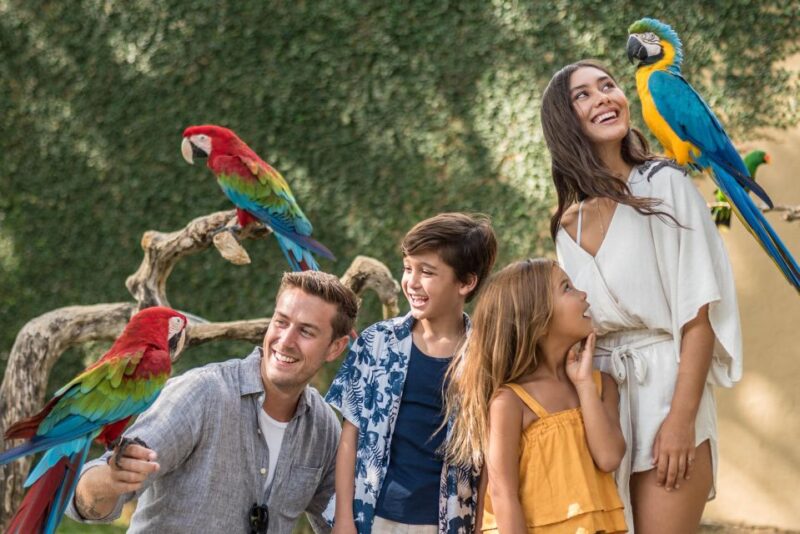 Bali Bird Park 1-Day Admission Ticket - Authentic Encounters and Visitor Perspectives