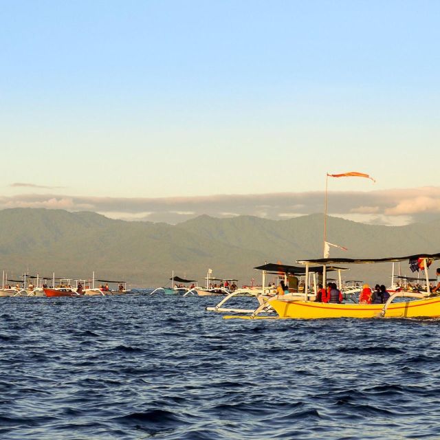 Bali Bliss: Dolphin Lovina Private Expedition - What to Expect from the Bali Dolphin Lovina Private Tour