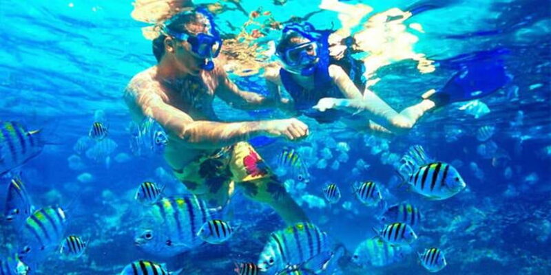 Bali: Blue Lagoon Snorkeling Inclusive of Lunch & Transport - Why This Tour Works Well for Travelers