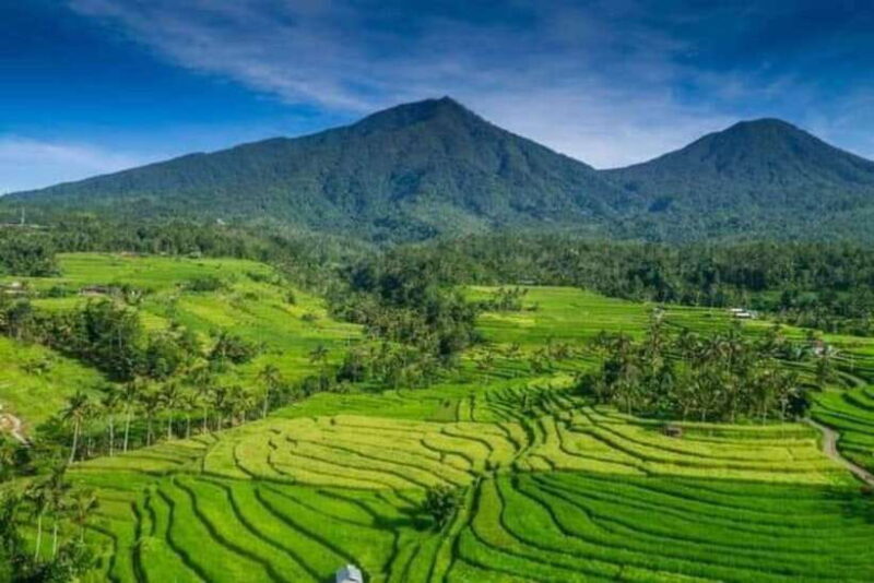 Bali : Design Your Customize Trip with Private Driver - Exploring the Itinerary and Destination Options