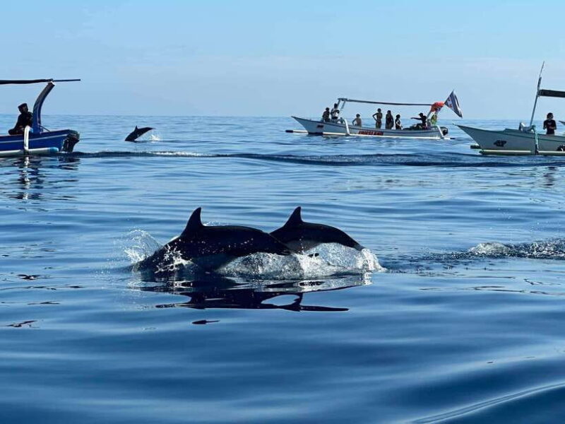 Bali: Dolphin Swimming Tour with ATV Quad Bike & Waterfall - The Itinerary: What to Expect
