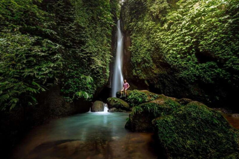 Bali: Gate of Heaven, Goa Raja Waterfall & Ubud Swing - Practical Details and Value
