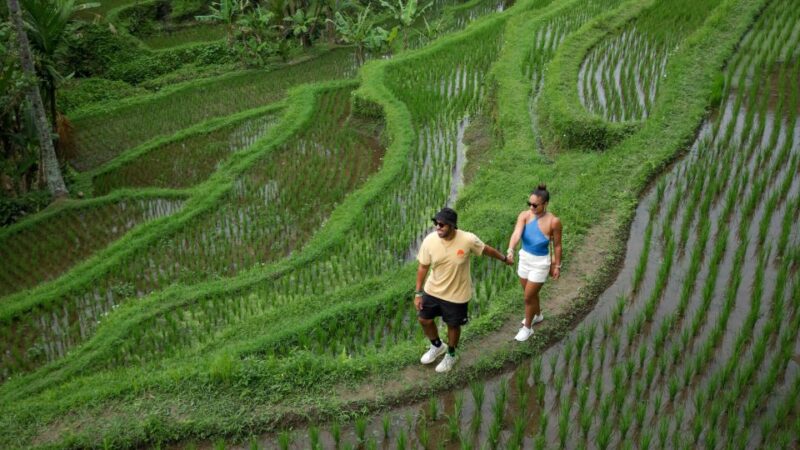 Bali: Heaven Swing, Beratan temple, Rice Terrace - Final Thoughts