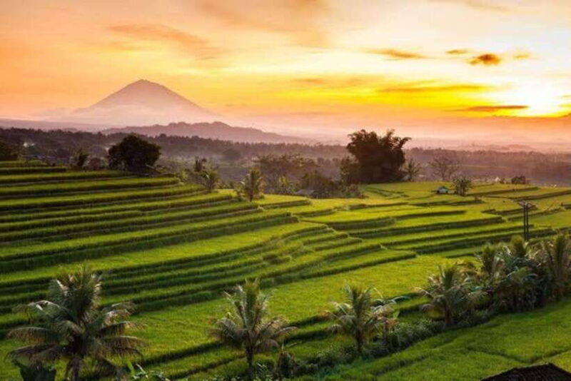 Bali: Jatiluwih UNESCO, Bratan Lake, Iconic Gate & Tanah Lot - What Makes This Tour Stand Out?
