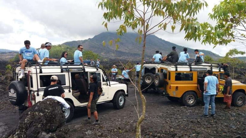 Bali: Land Rover Jeep Tour Kintamani & Ubud Swing - What to Expect: Practical Details & Traveler Tips