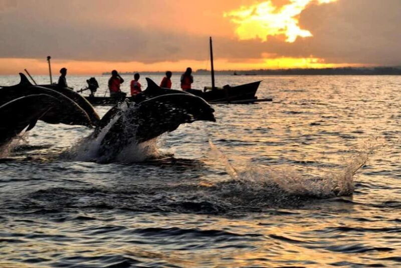 Bali/Lovina: Dolphin Snorkeling, Swimming & Waterfall Tour - Breaking Down the Itinerary