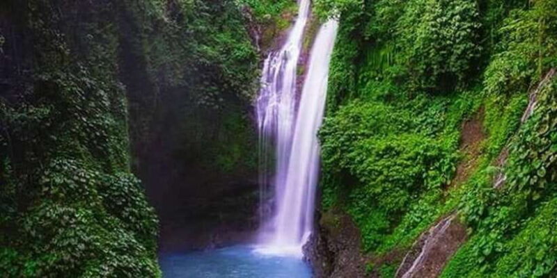 Bali: Lovina tour to see dolphin - Practical Details and What to Expect