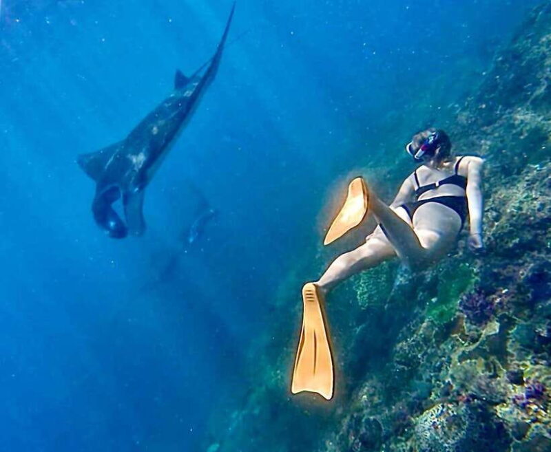 Bali: Nusa Penida: Snorkeling, West trip, lunch & speed boat - Snorkeling Adventures