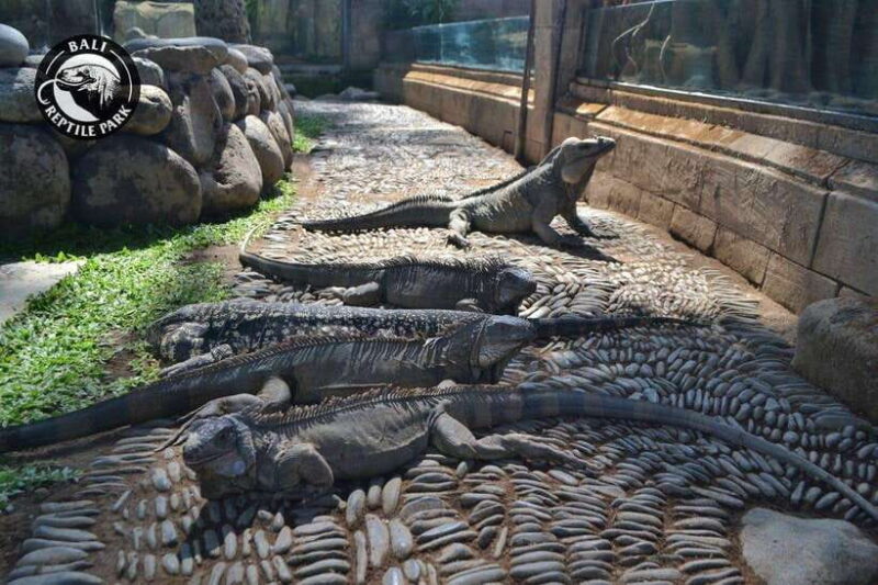 Bali Reptile Park 1-Day Admission Ticket - A Well-Preserved Natural Setting