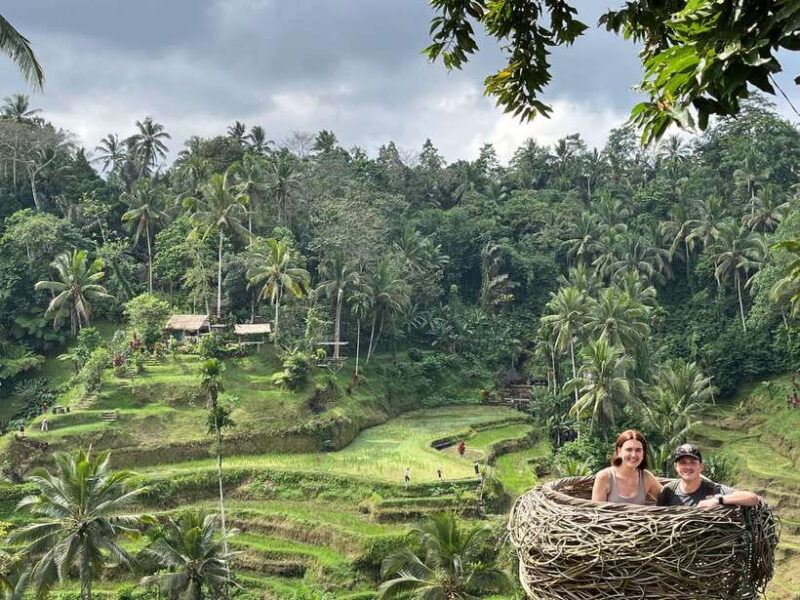 Bali: Rice Terrace, Water Temple, Penelokan, Mother Temple - Discovering Bali’s Natural Beauty and Spiritual Heritage