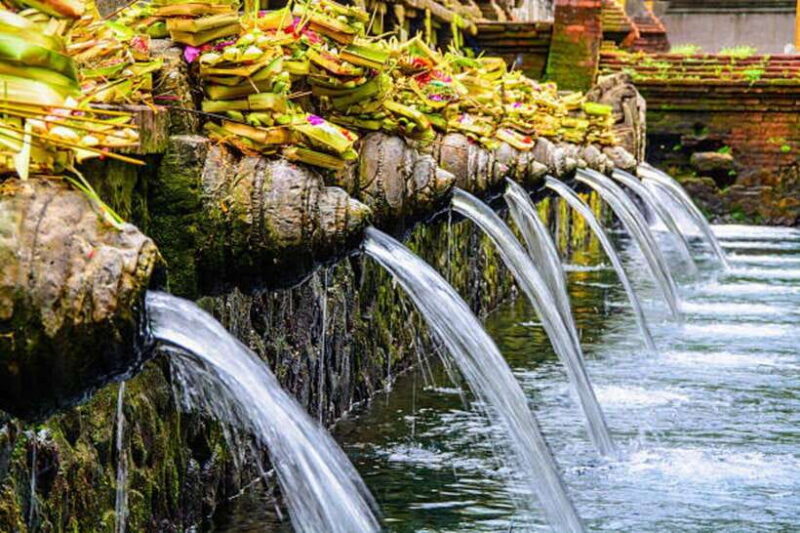 Bali: Rice terrace, Waterfall, and water Temple Day Tour - Key Points at a Glance