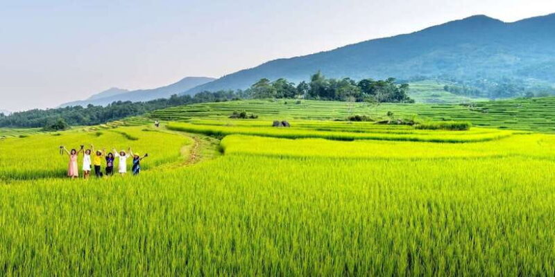 Bali: Rice Terraces Guided Hiking Experience - Value and Practical Considerations