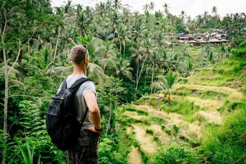 Bali: Rice Terraces, Mount Batur Geopark and more  Day Tour - Discovering Bali’s Cultural and Natural Highlights