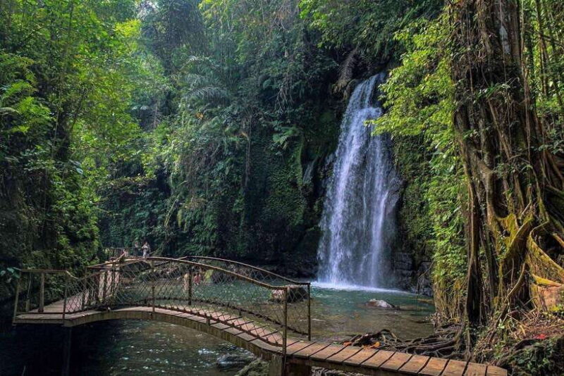 BALI :Sanctuary Monkey forest, rice terrace Water temple - What to Expect from the Tour