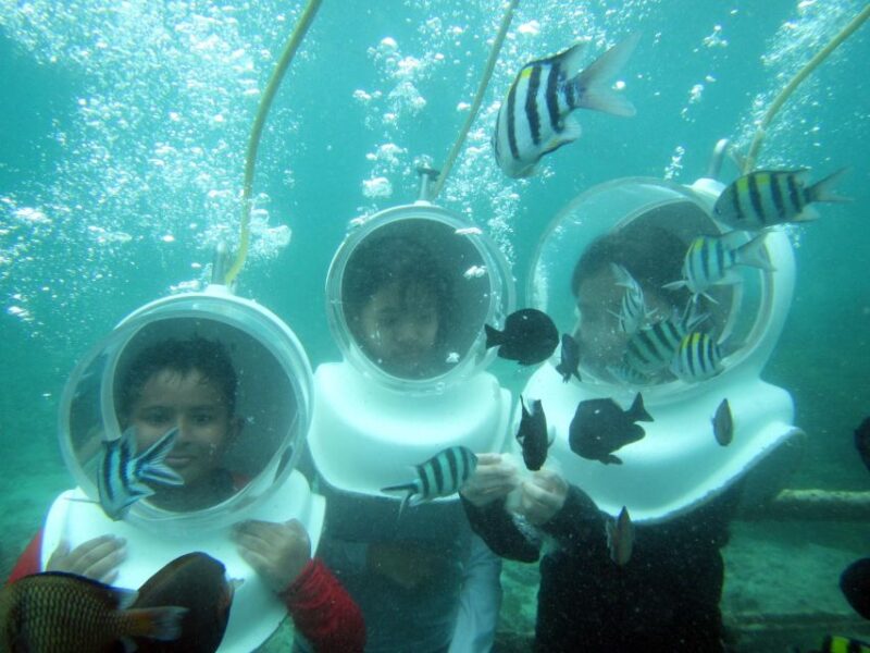 Bali: Sea Walker Under Water Experience - The Itinerary Breakdown