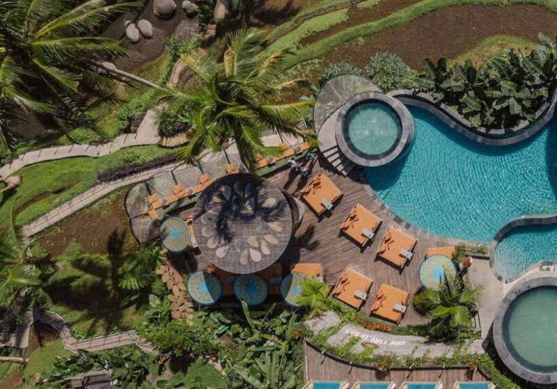 Bali: Shared or Private Highlights Ubud with Cretya Jungle - A Detailed Look at the Tour Experience