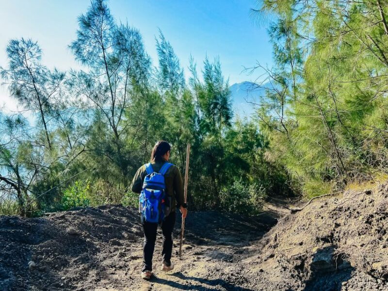 Bali: Sunrise Mount Batur Hike with Breakfast - Who Is This Tour Best For?