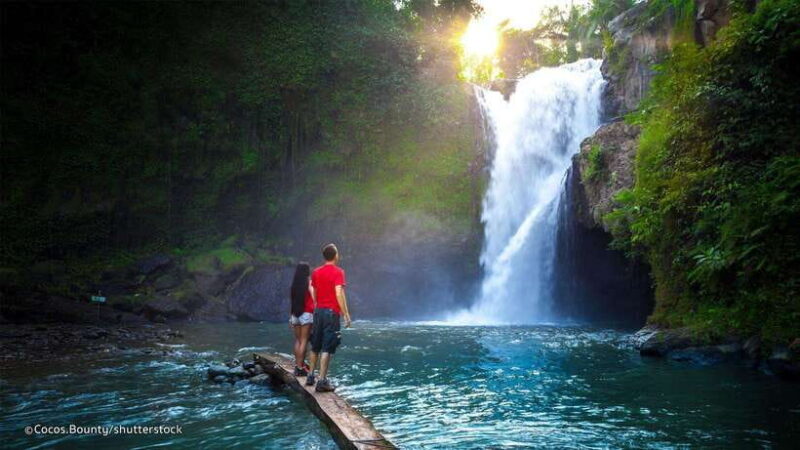 Bali: Ubud Private Tour with Waterfall - Forest - Rice field - The Beginning: Hotel Pickup and First Impressions