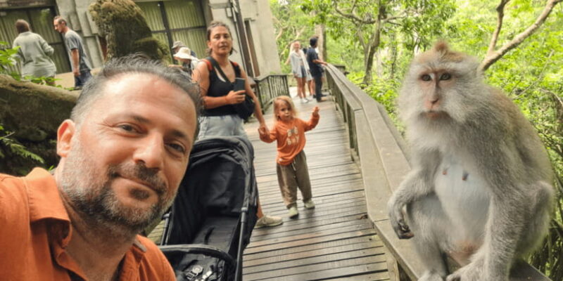Bali: Ubud Rice Terraces, Monkey Forest & Waterfall Tour - The Practicalities — What You Need to Know