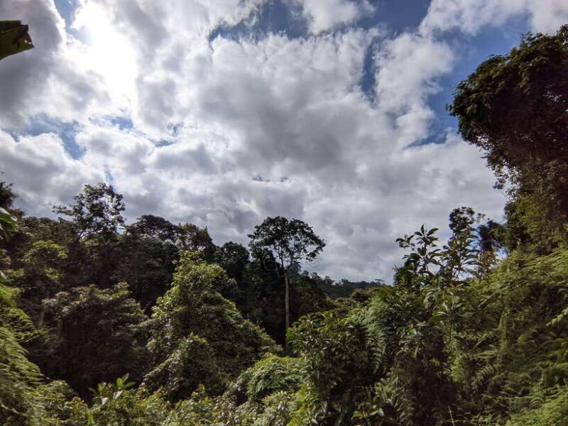 Balis Mystical Jungle Trek & Hidden Waterfall Adventure - Practical Details and Considerations