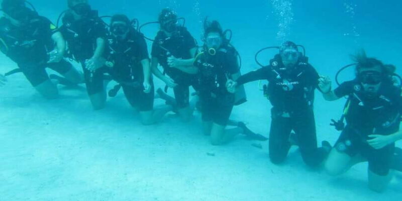 Basic Fun Dive at Menjangan Island - Authentic Marine Encounters and the Land Experience