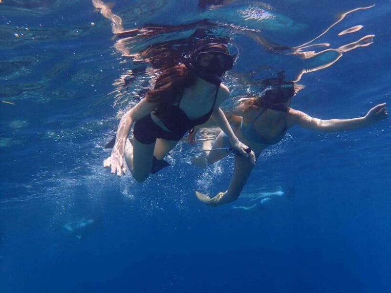 Basic Snorkeling Menjangan Island - Discovering Menjangan Islands Underwater Magic
