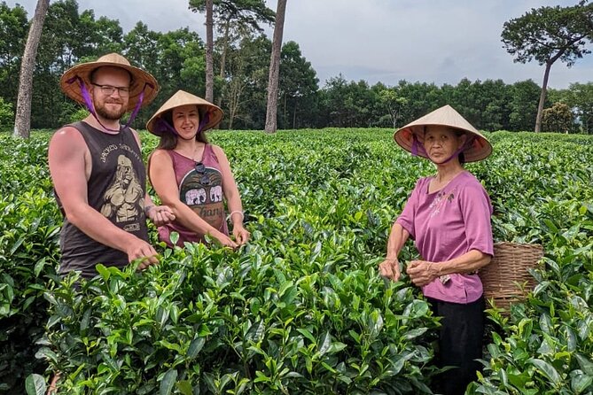 Bavi Eco Tour: Immerse in Authentic Village Life Outside Hanoi - Analyzing the Value: Is It Worth the Price?