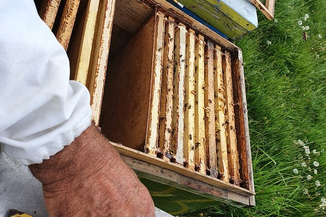 Bees Adventure in Romania - Private Day Trip from Bucharest - Authenticity and Reviews: What Travelers Say