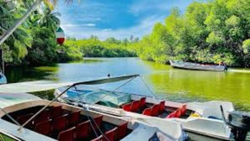 BENTOTA DAY TOUR BY TUKTUK(PRIVATE) - Who Will Love This Tour?