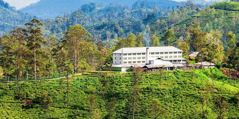 Bentota/Kalutara/Hikkaduwa: Day Trip to Ella Highlands - Authentic Experiences and Practicalities