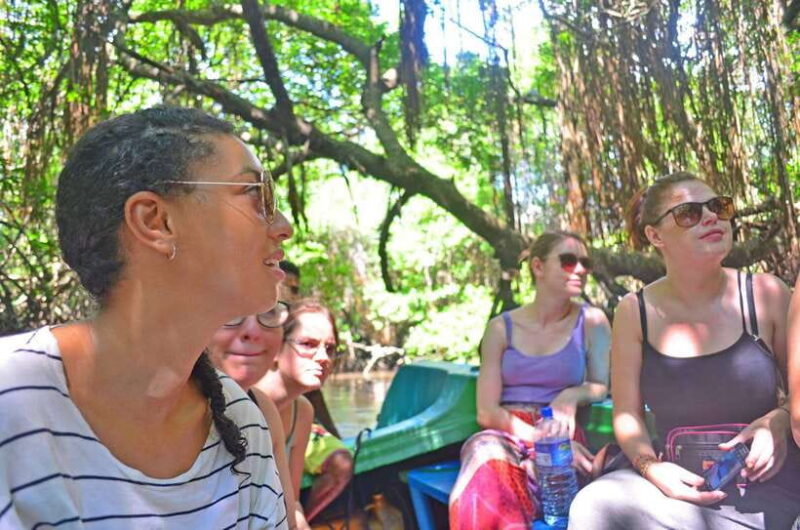 Bentota: River Boat Safari - Exploring the Bentota River Safari: What to Expect