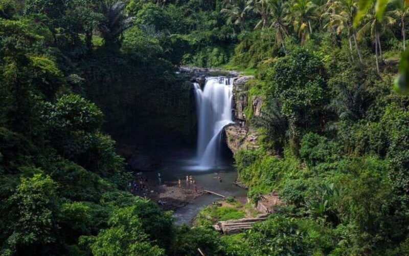 Best of Ubud - Private Guided Full-Day Tour, Ubud, Bali - Detailed Breakdown of the Itinerary