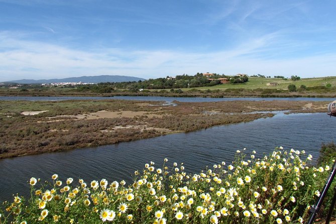 Birdwatching at Ria de Alvor - Who Would Enjoy This Tour?