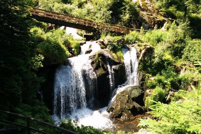 Black Forest Tour by car - start Offenburg or Freiburg - What Travelers Can Expect from the Stops
