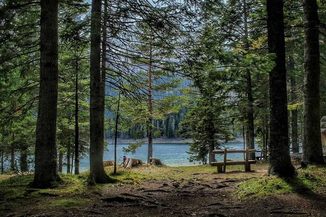 Black Lake and Djurdjevica Tara Bridge (Private tour) - What Makes This Tour Special