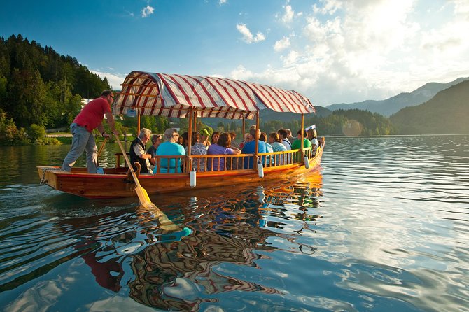 Bled & Bohinj Lake Trip - What to Expect from the Transportation and Guide
