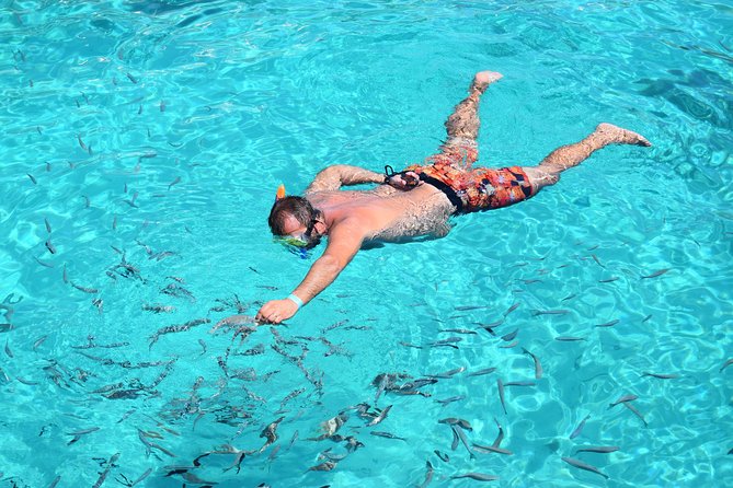 Blue Lagoon, Beaches and Bays Catamaran Sailing Tour - The Value and Overall Impression