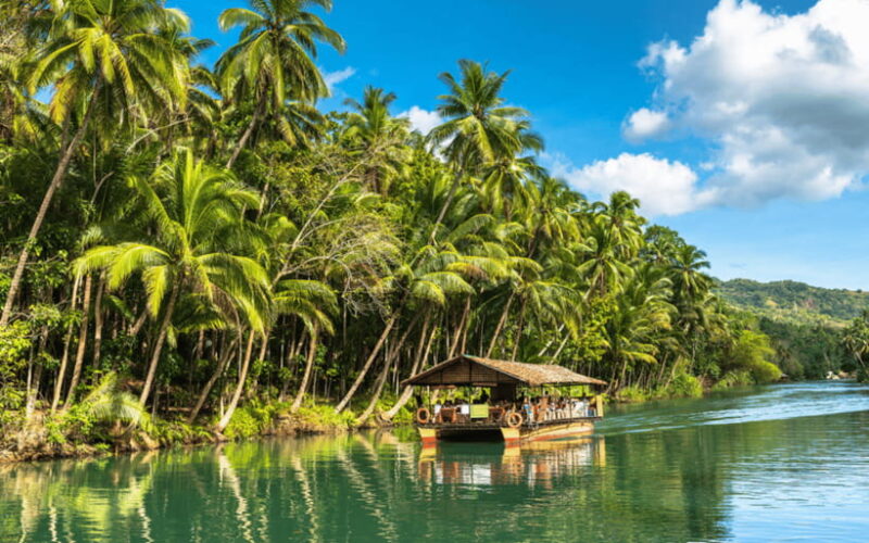 Bohol Day Tour From Cebu City or Mactan (Private Tour) - Who Should Consider This Tour?