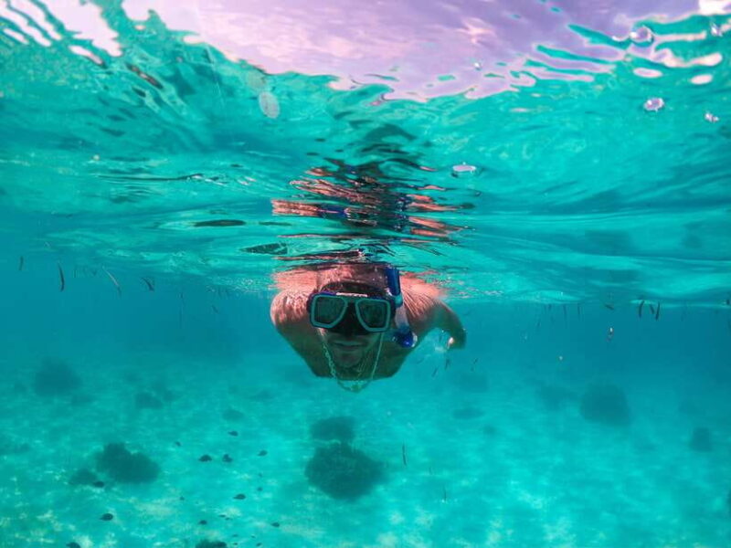 Bohol: Pamilacan Island Dolphin/Turtle Watching Tour & Lunch - Authentic Reviews Tell the Story