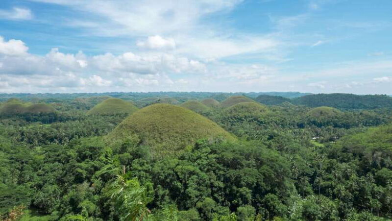 Bohol: Private Countryside Tour with Buffet Lunch - What You’ll Love About This Tour
