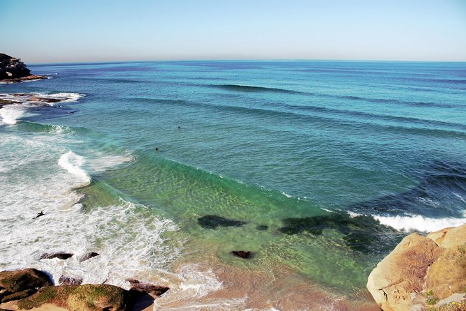 Bondi Beach and Beyond private tour - Authentic Experiences and Visitor Feedback