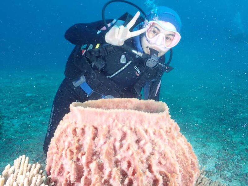 Boracay: 2-day Open Water PADI Diving Course - Final Thoughts