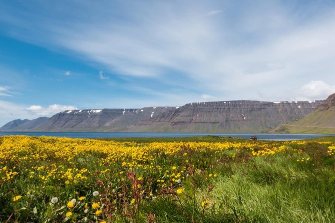 Borgarfjörður - Final Thoughts