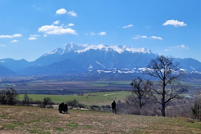 Bran Castle & Bear Sanctuary from Brasov - Optional Peles Castle - Why This Tour Works Well