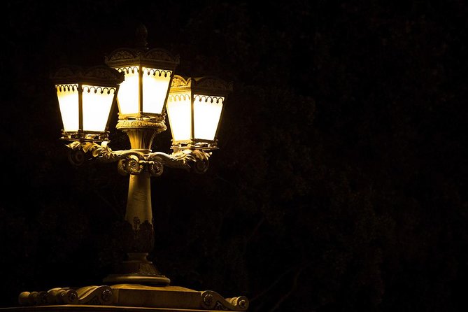Bright Lights of Budapest Night Tour with Boat Cruise and Wine - Practical Details
