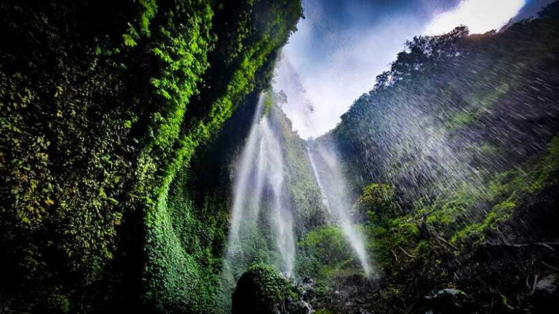 Bromo Sunrise & Madakaripura Waterfall Private 1 Day Tour - Detailed Breakdown of the Itinerary