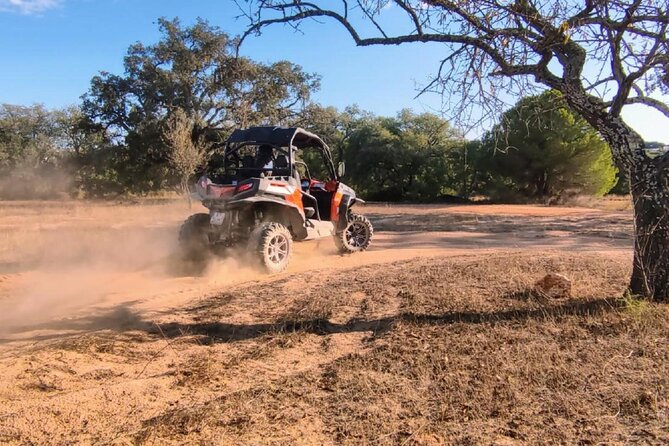 Buggy Quest - 1 Hour Off-Road Guided Tour from Albufeira - Detailed Review of the Buggy Quest Tour